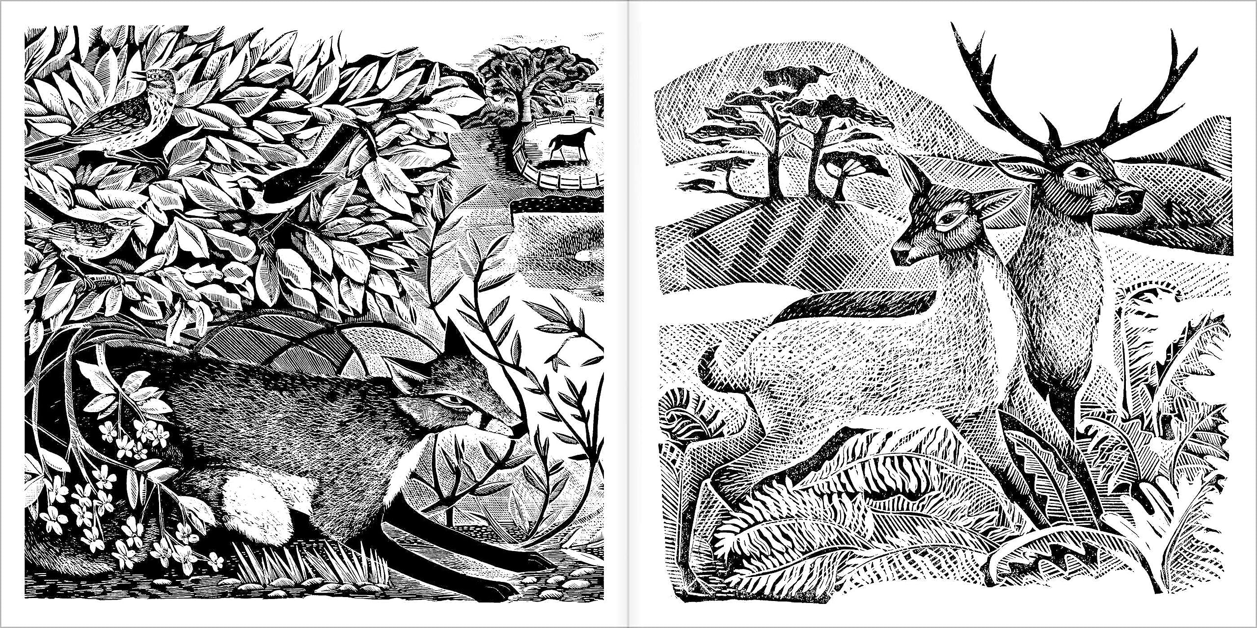 Angela Harding Colouring Book (Colouring Books) by Angela Harding ...