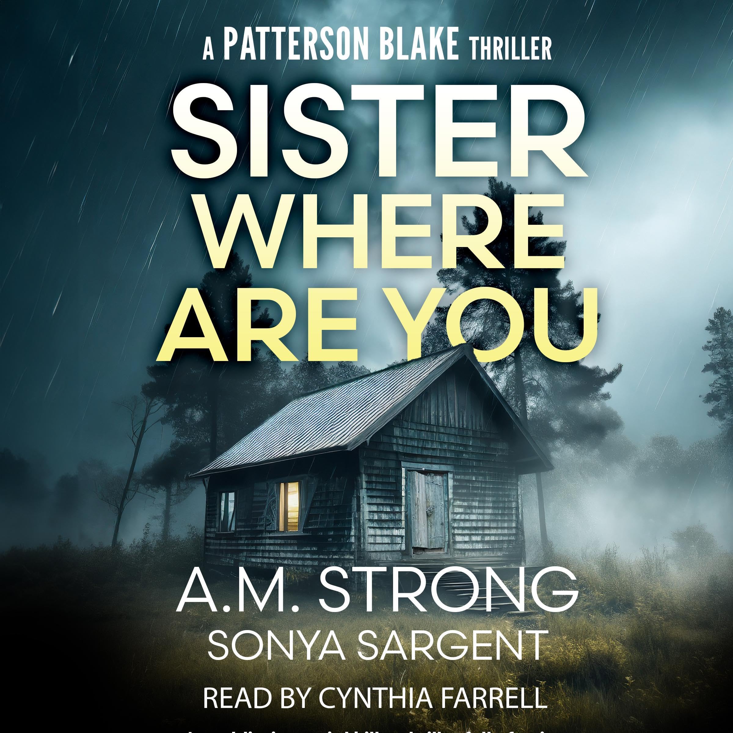 Sister Where Are You: Patterson Blake FBI Mystery Thriller Series, Book ...