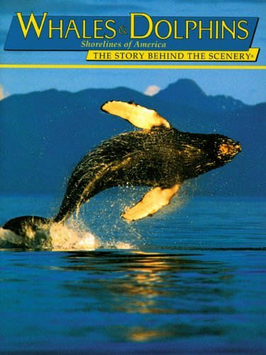 Whales & Dolphins, Shorelines of America: The Story Behind the Scenery ...