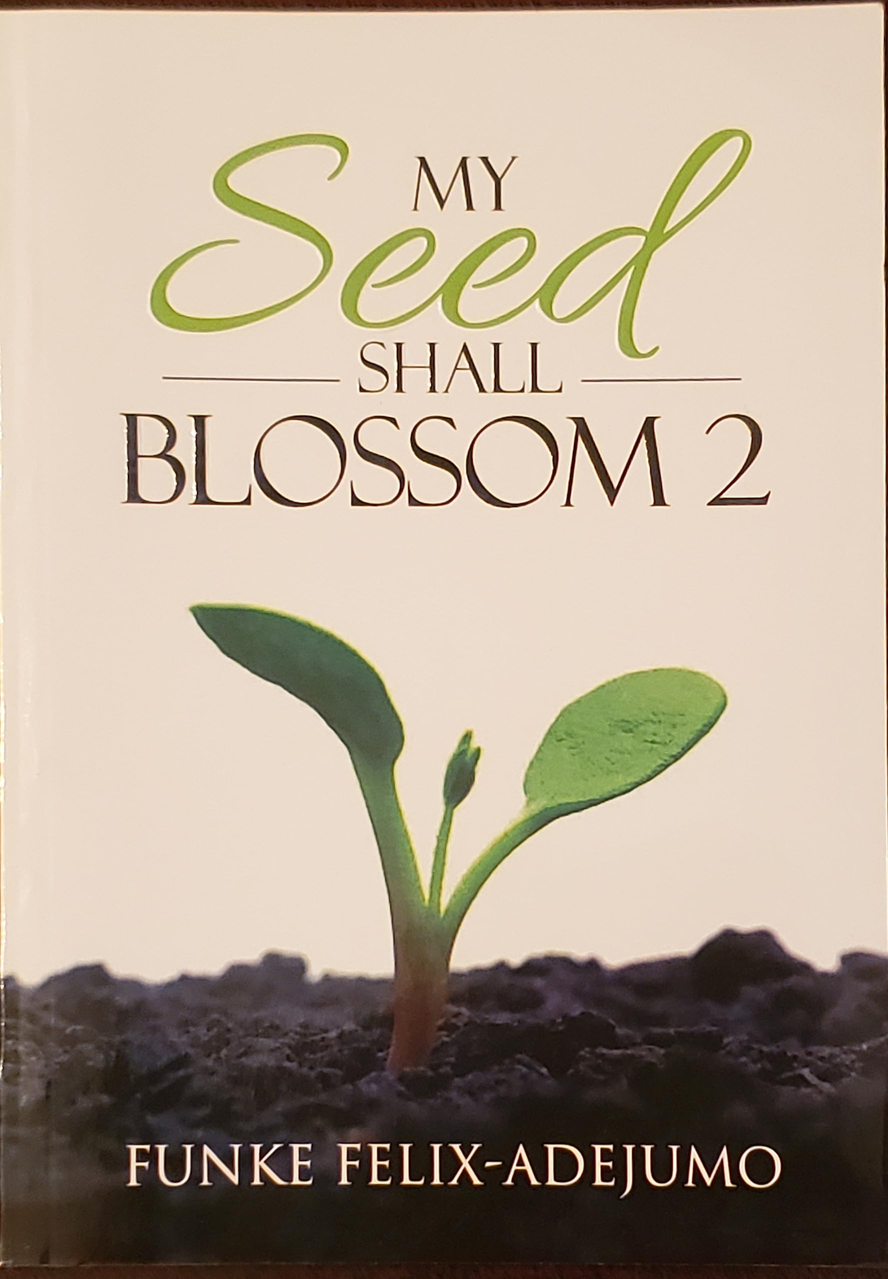 My Seed Shall Bloosom by Funke Felix-Adejumo | Goodreads