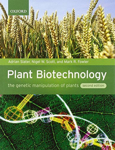 Plant Biotechnology: The Genetic Manipulation of Plants 2nd (second ...