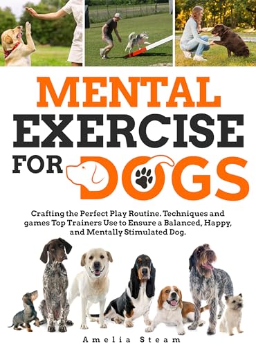 Mental Exercise for Dog: Crafting the Perfect Play Routine. Techniques ...