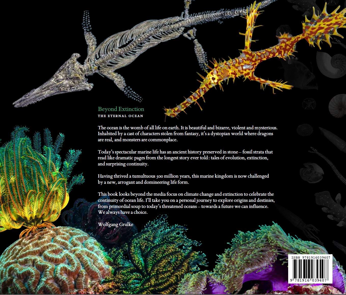 Beyond Extinction: The Eternal Ocean—Climate Change the Continuity of ...