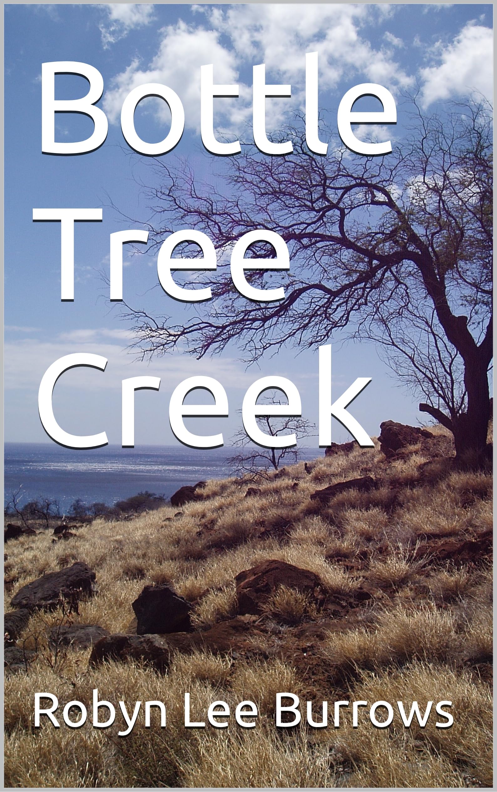 Bottle Tree Creek by Robyn Lee Burrows | Goodreads