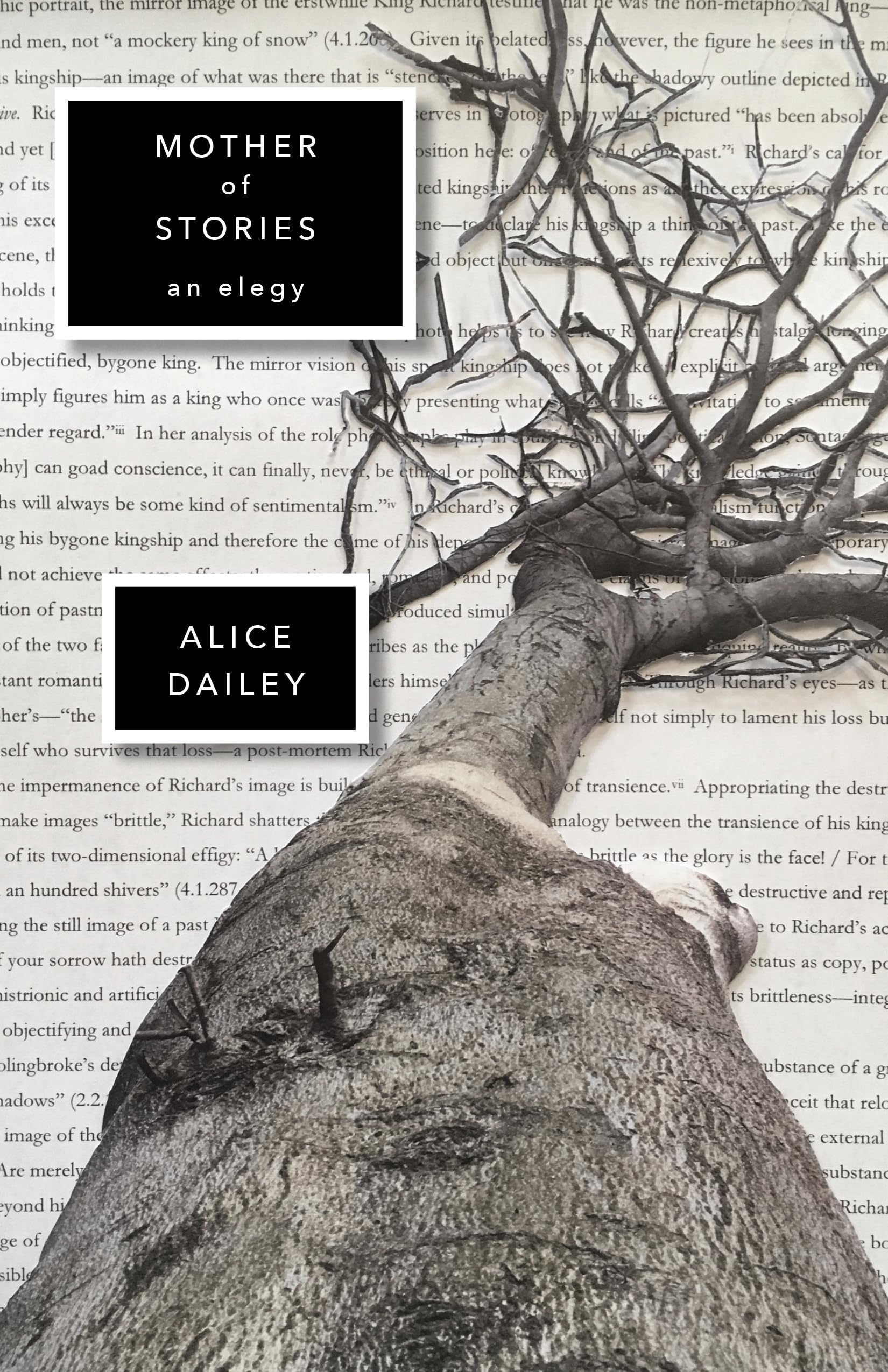 Mother of Stories: An Elegy by Alice Dailey | Goodreads