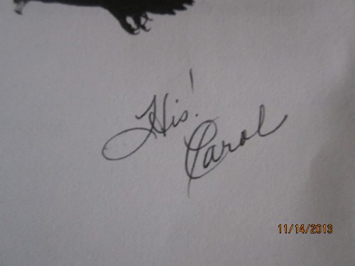 Above the Storm by Carol Hopson | Goodreads