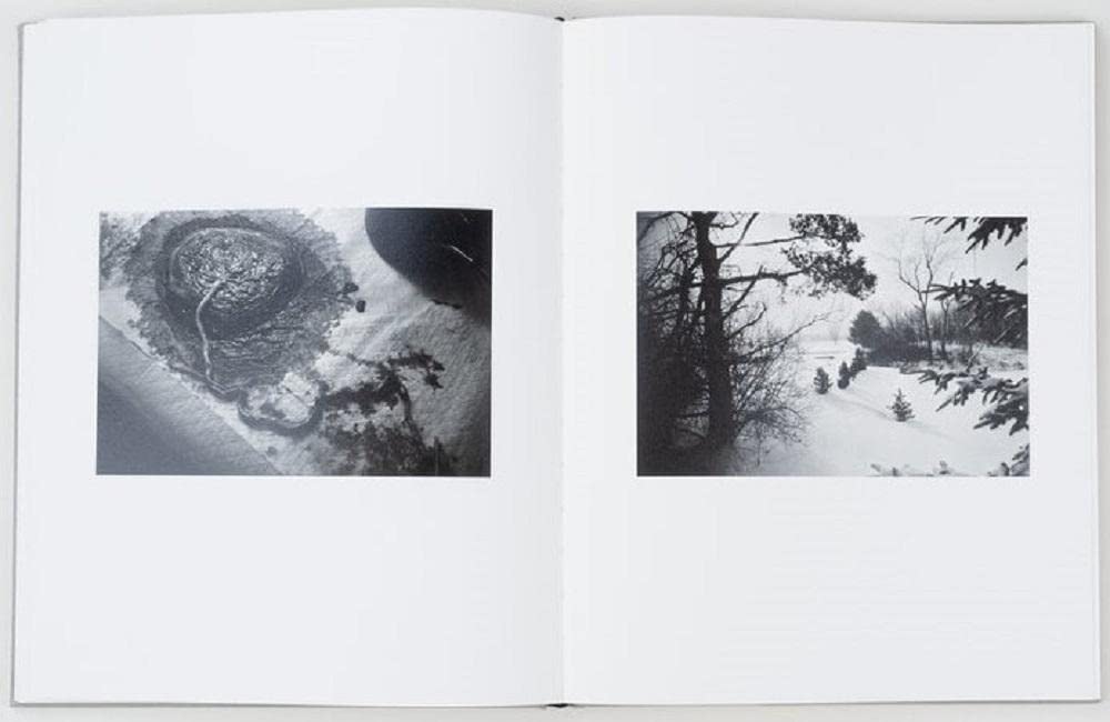 The Locusts by Jesse Lenz | Goodreads