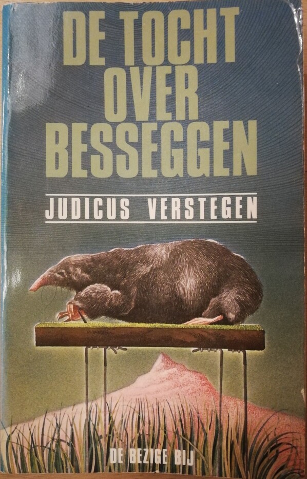 De tocht over Besseggen by Judicus Verstegen | Goodreads