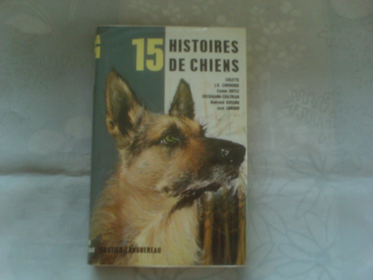15 histoires de chiens (Série 15) (French Edition) by Jacques Pecnard ...