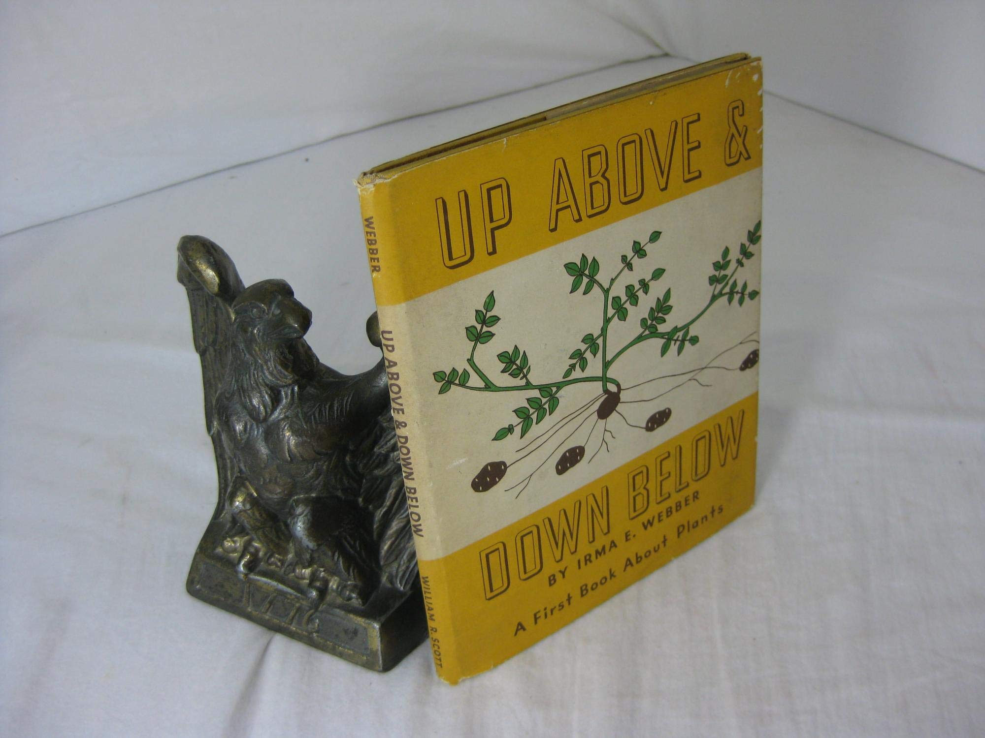Up Above & Down Below (A First Book About Plants) by Irma E. Webber ...