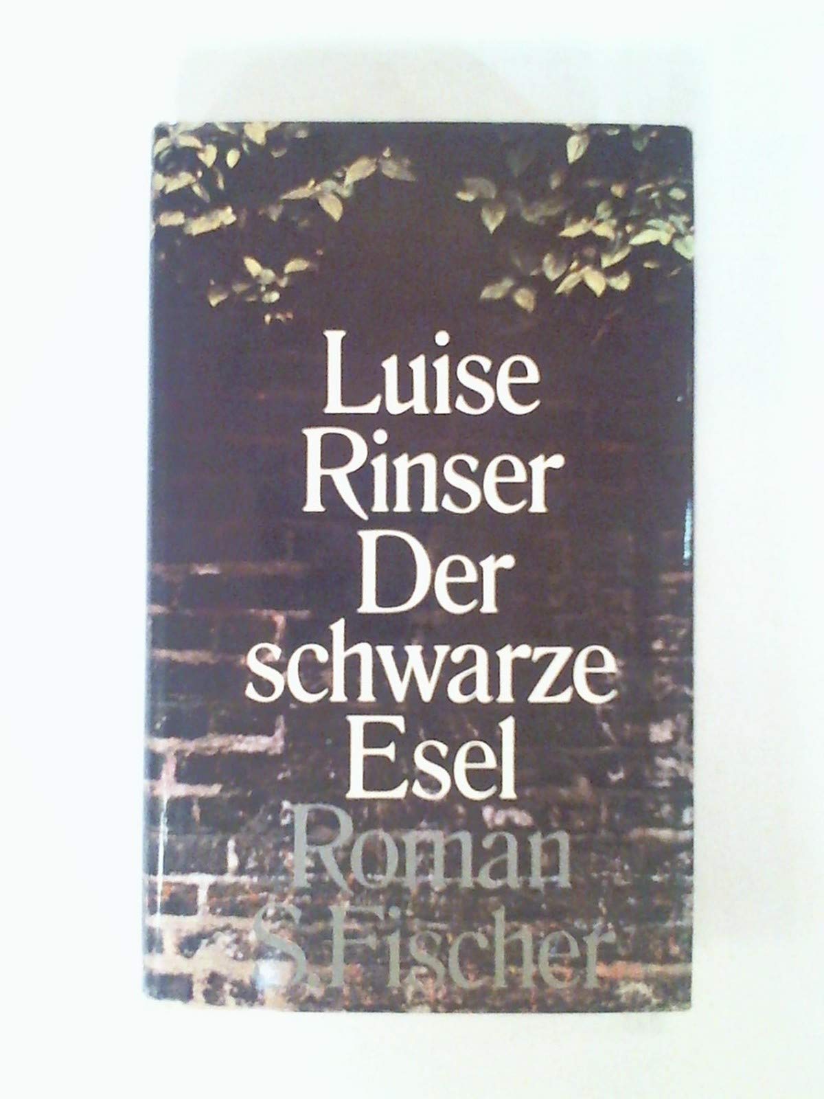 Der Schwarze Esel by Luise Rinser | Goodreads