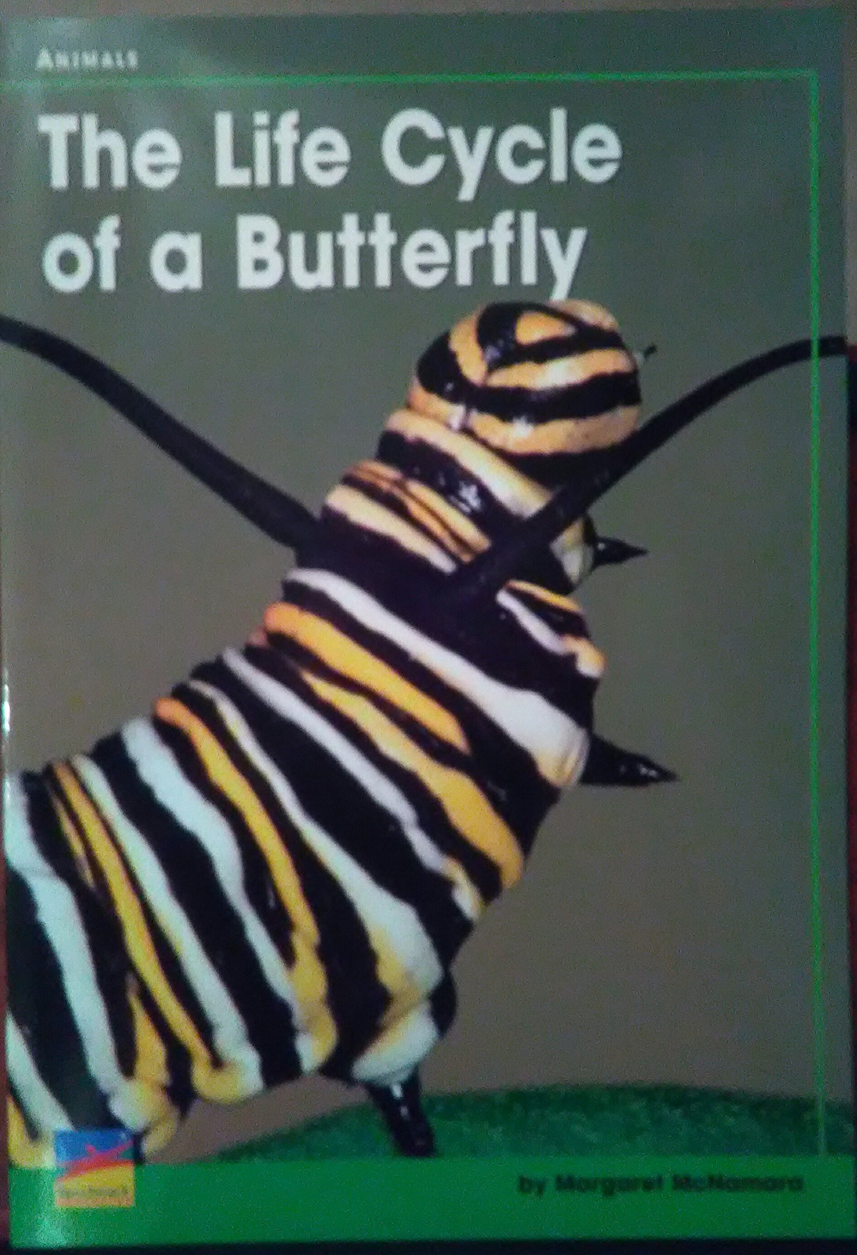 The Life Cycle of a Butterfly by Margaret McNamara | Goodreads