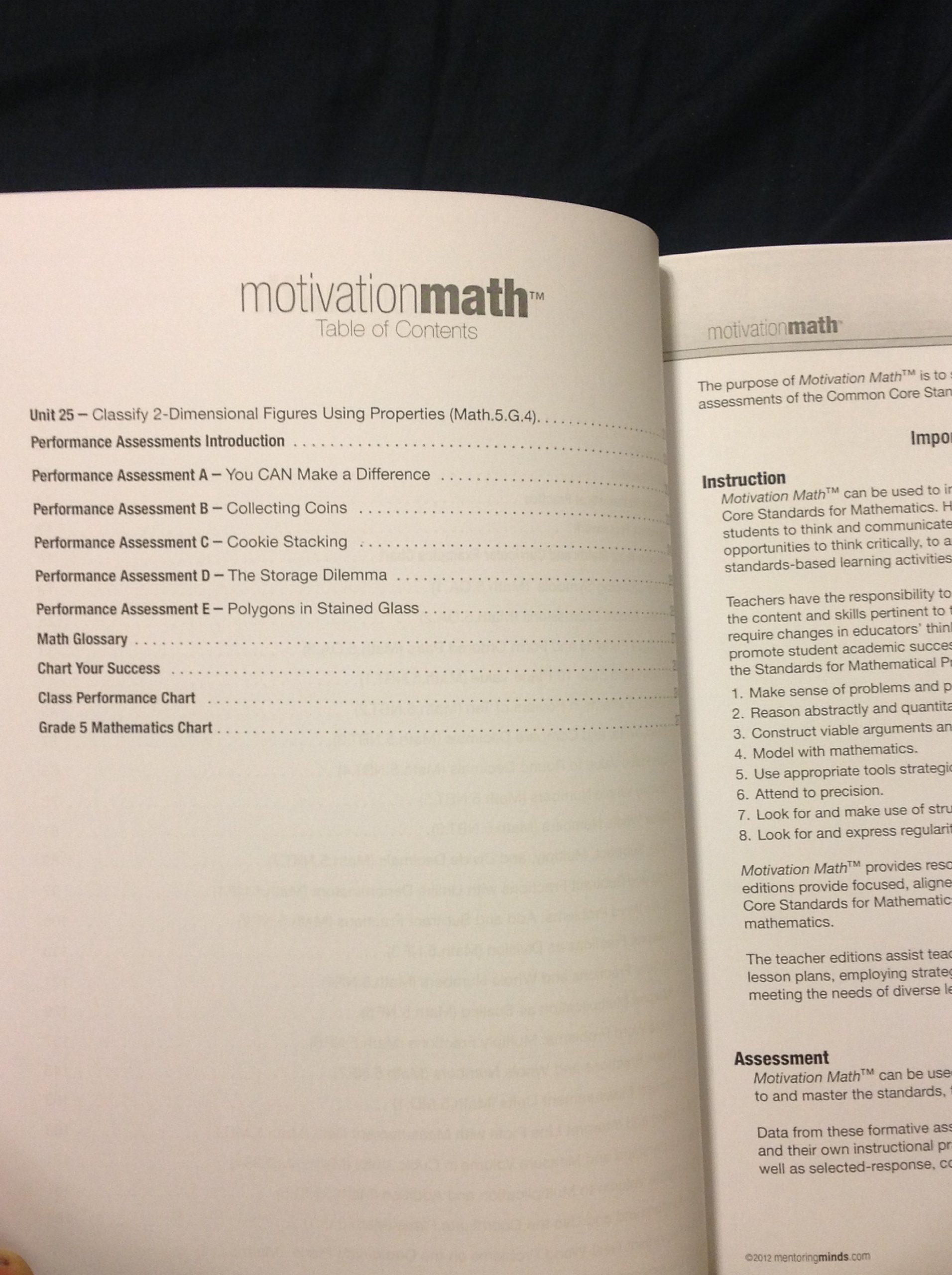 Motivation Math Level 5 Teacher Edition-Mentoring Minds by Mentoring ...