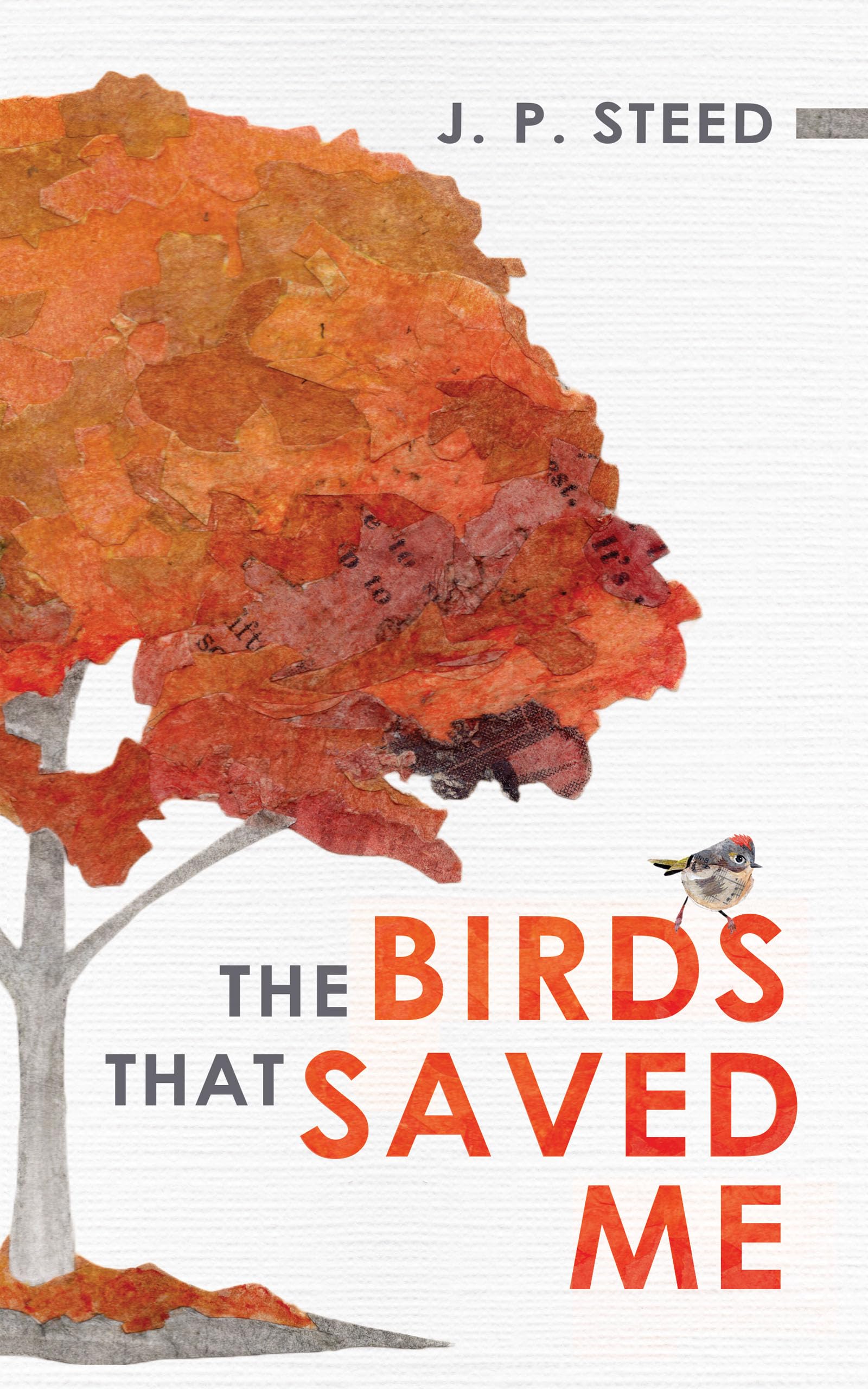 The Birds That Saved Me: An Introduction to Birding for Self ...