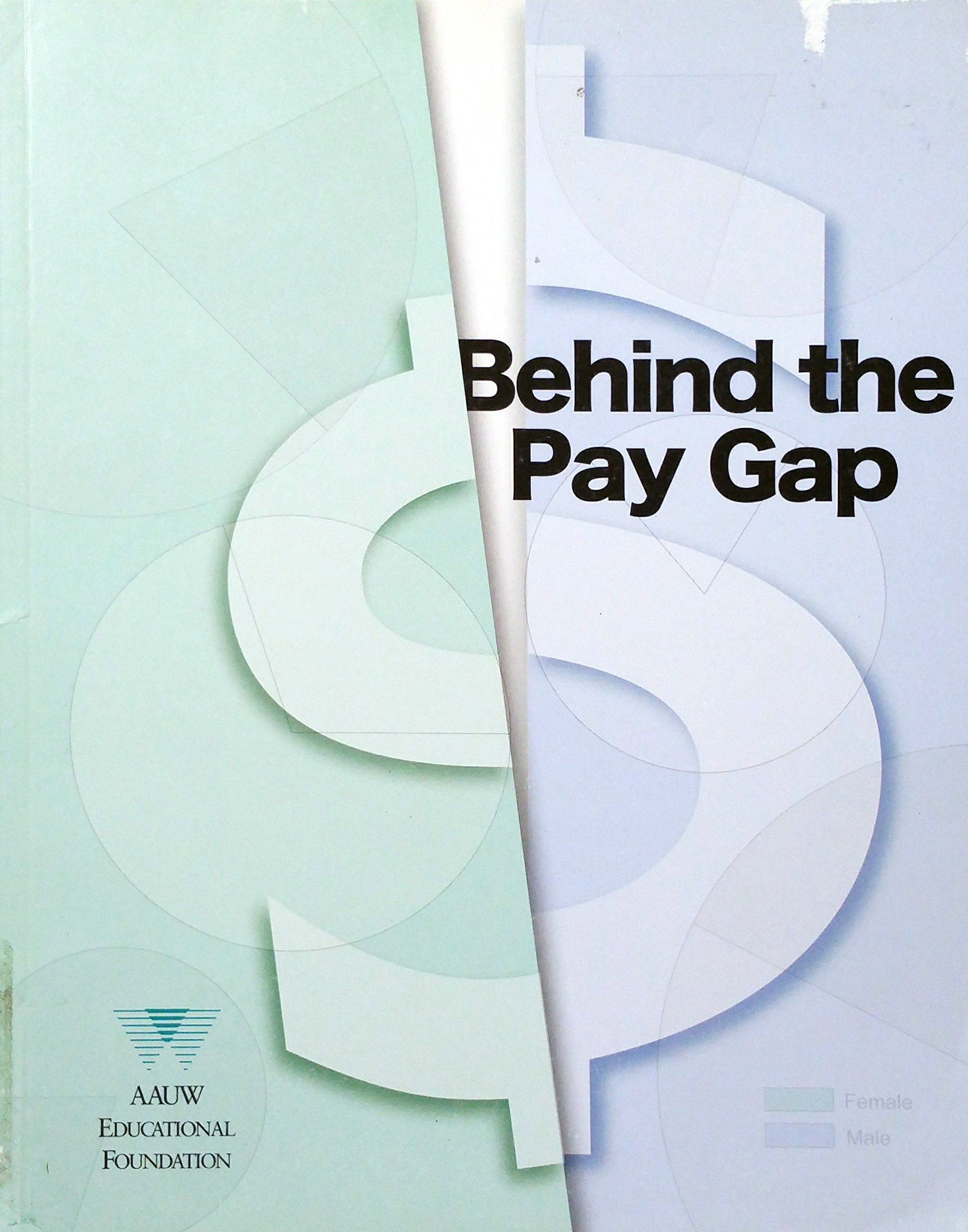 Behind the Pay Gap by Judy Goldberg Dey | Goodreads
