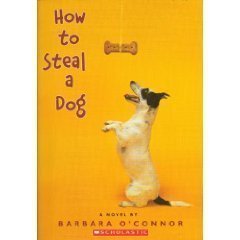 How to Steal a Dog Guided Reading Classroom Set by Barbara O'Connor ...