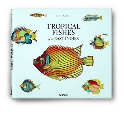 Samuel Fallours Tropical Fishes of the East Indies by Pietsch, Theodore ...
