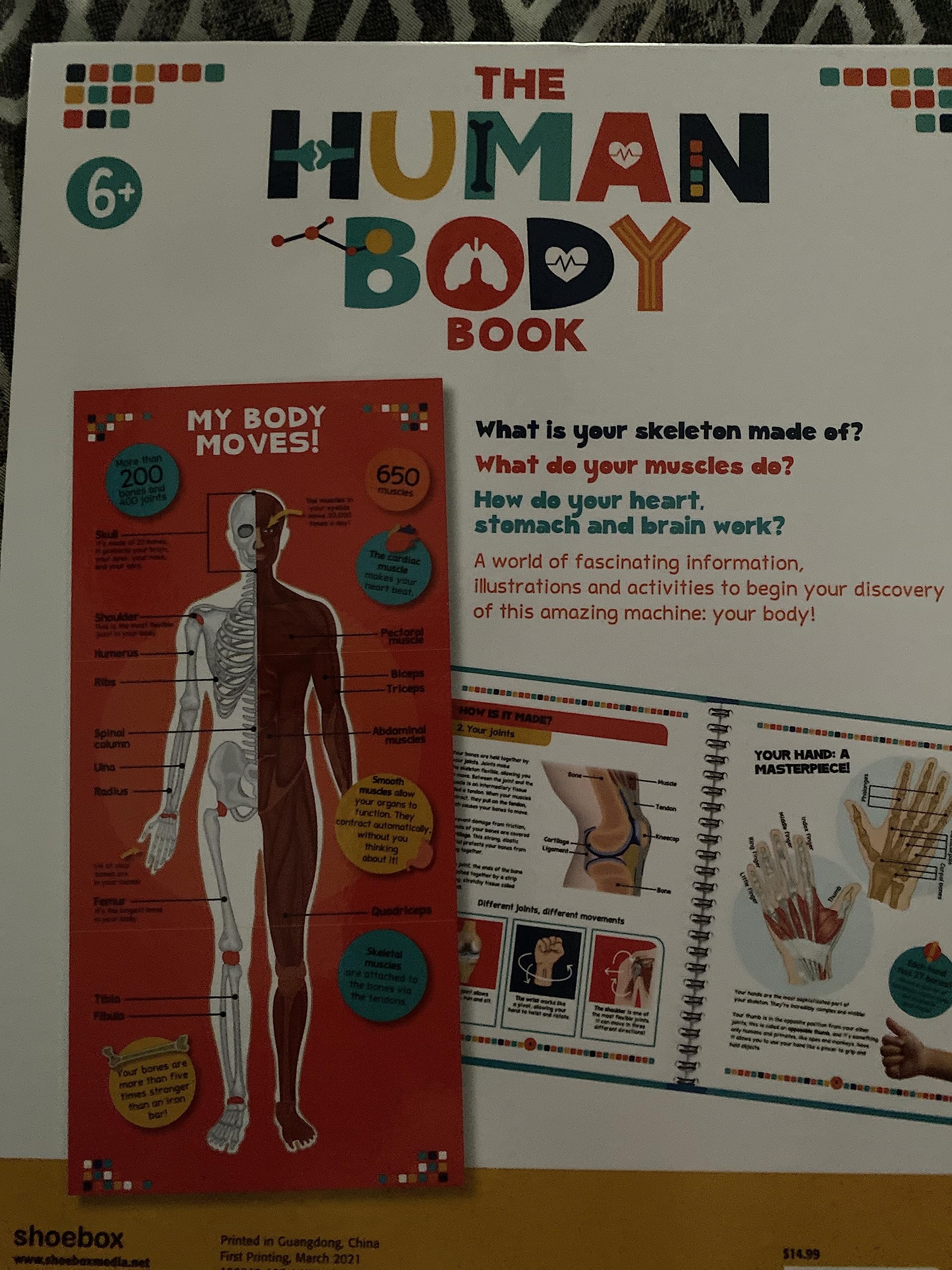 The Human Body Book by Maud Brougère | Goodreads