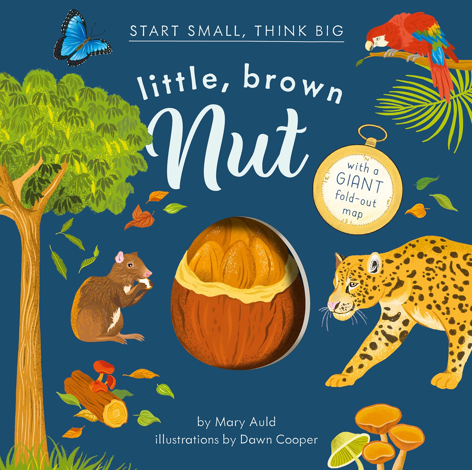 Little Brown Nut (Start Small, Think Big, 2) by Mary Auld | Goodreads