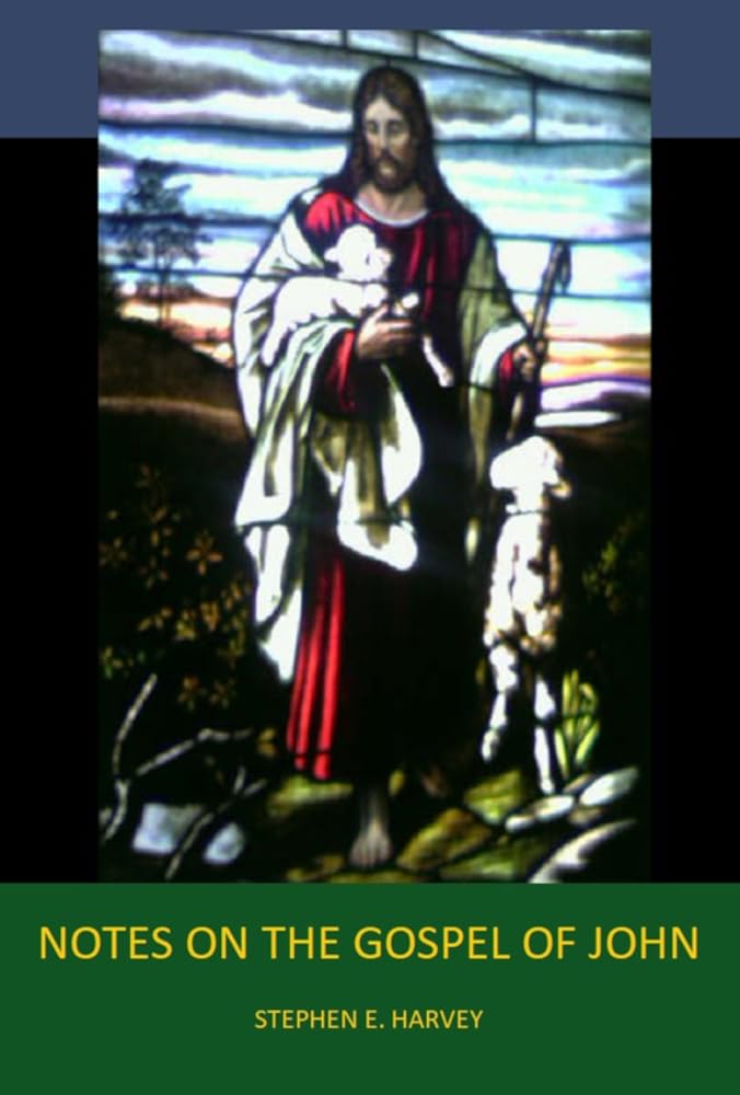 Notes on the Gospel of John by Stephen E. Harvey | Goodreads