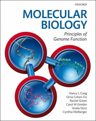 Molecular Biology: Principles of Genome Function 1st (first) by Craig ...