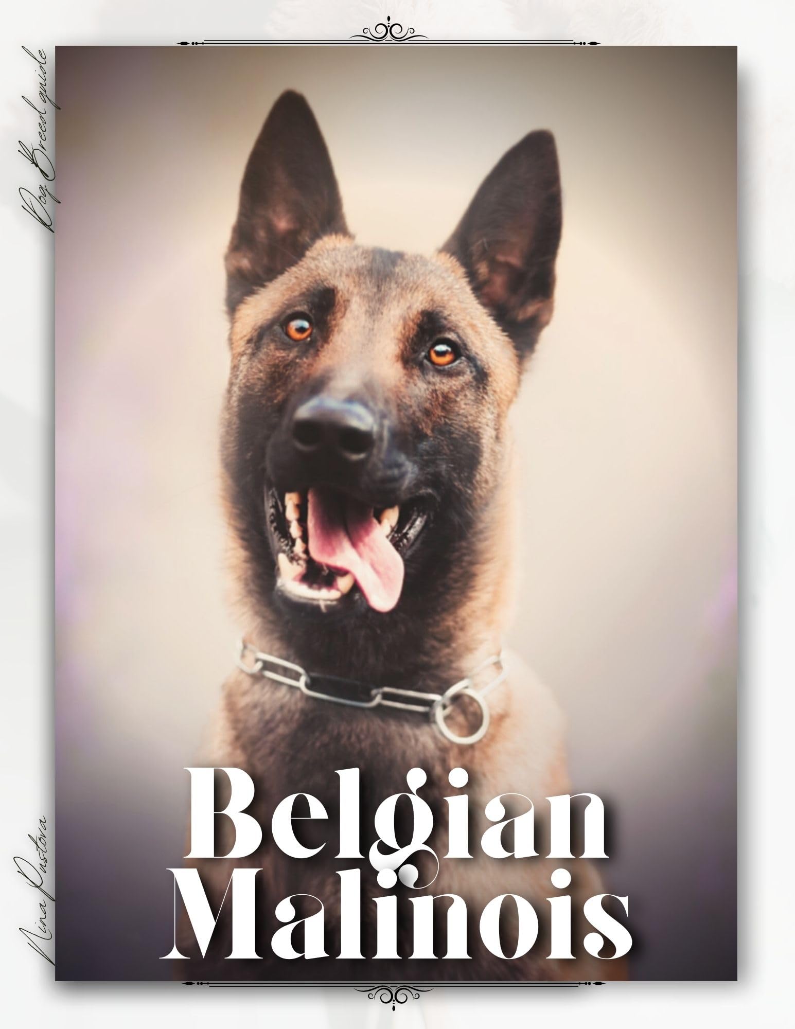 Belgian Malinois: Dog breed overview and guide by Nina Pustova | Goodreads