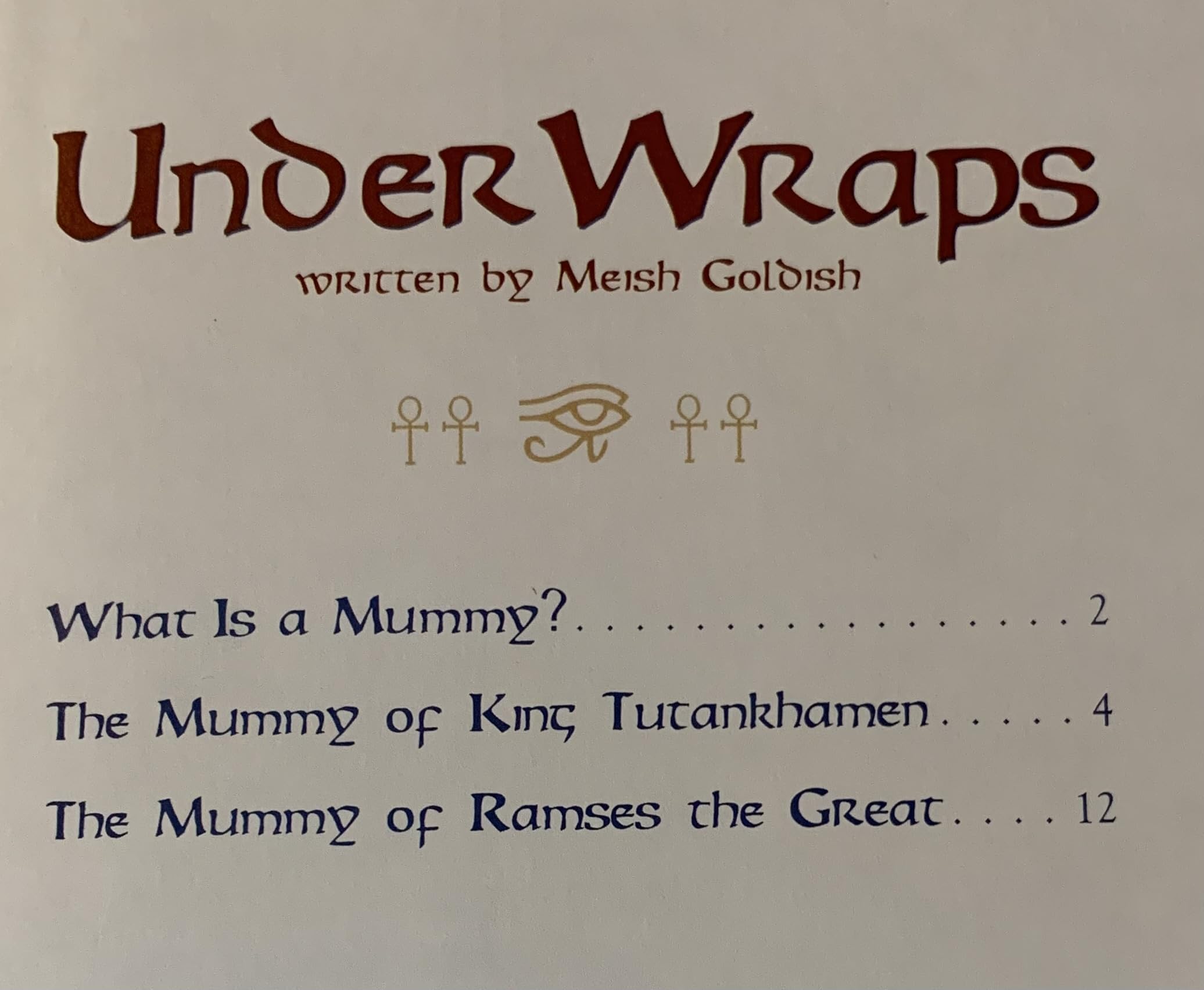 Under Wraps by Meish Goldish | Goodreads