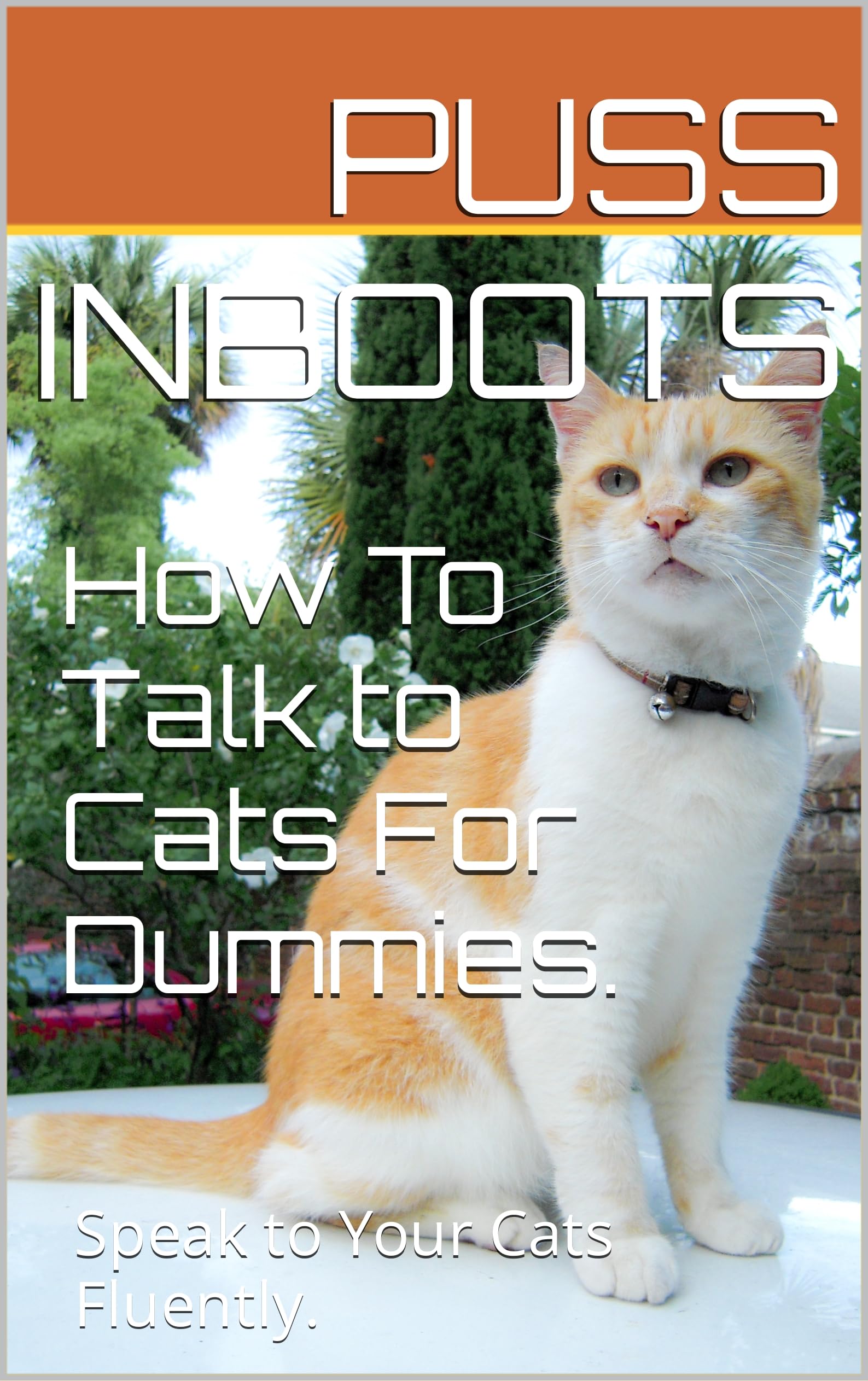 How To Talk to Cats For Dummies.: Speak to Your Cats Fluently. by Puss ...