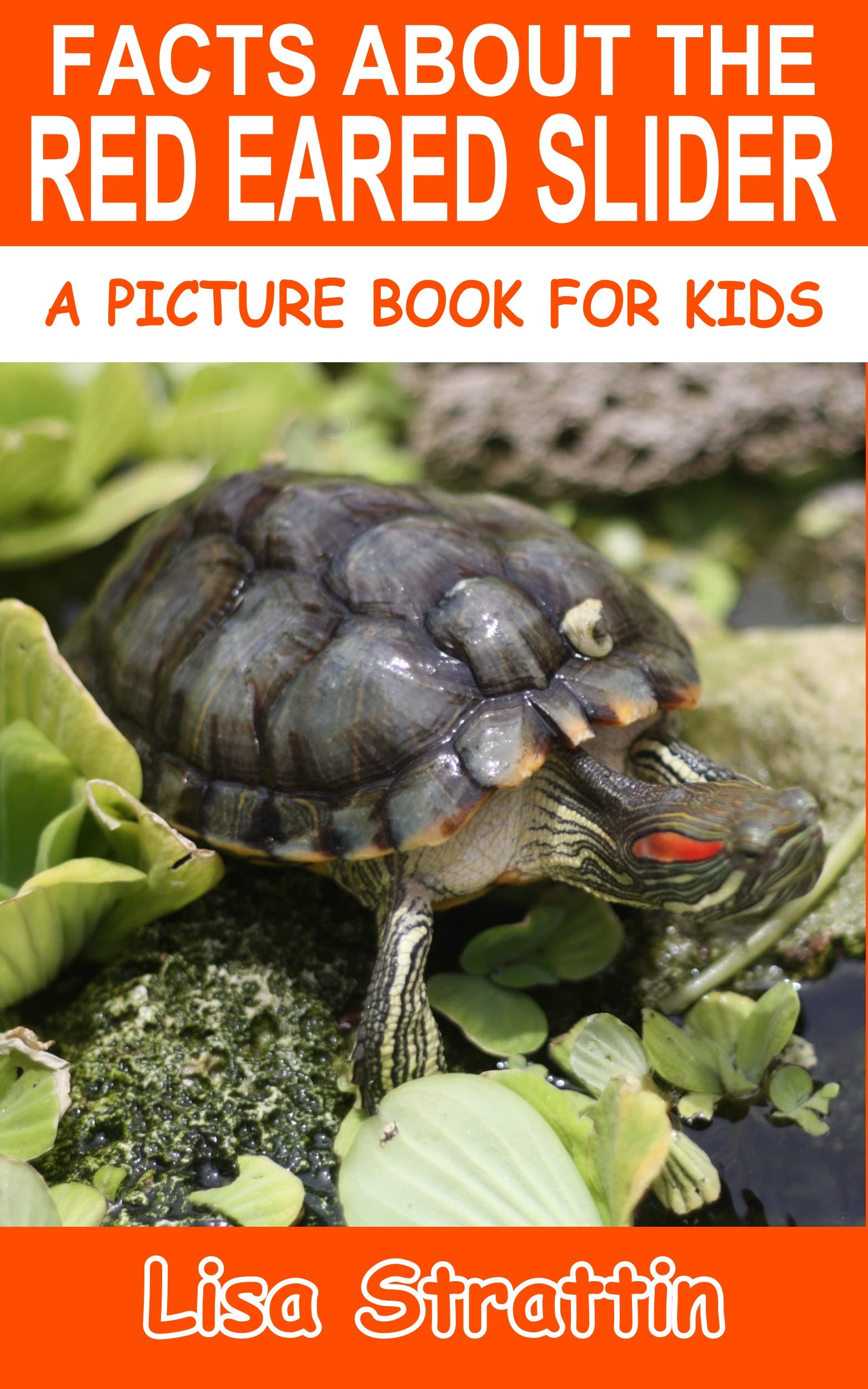 Facts About the Red Eared Slider by Lisa Strattin | Goodreads