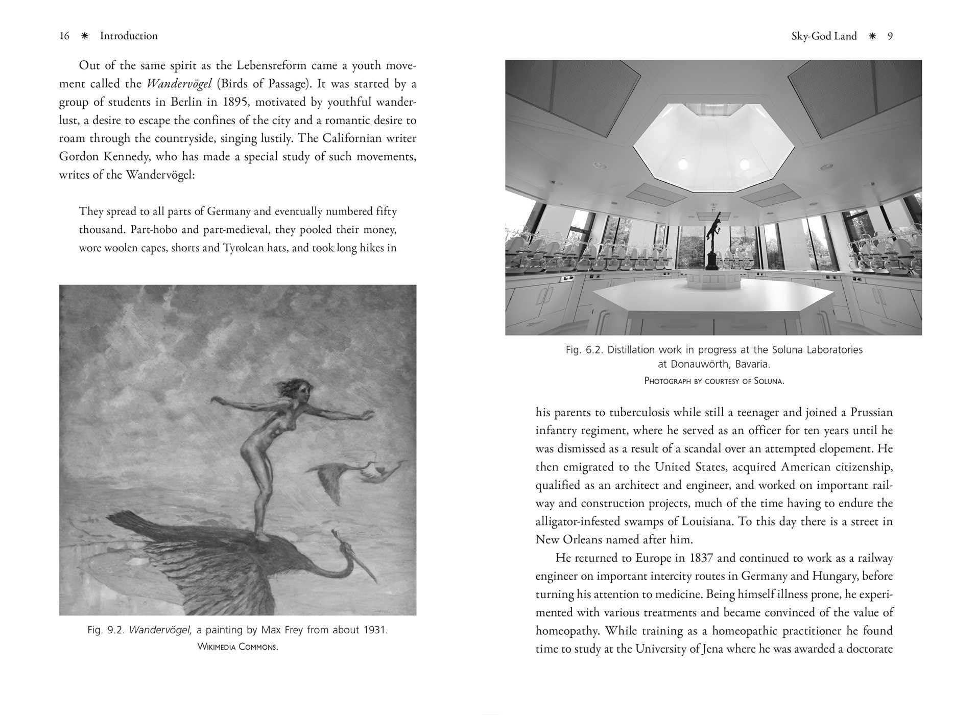 Occult Germany: Old Gods, Mystics, and Magicians by Christopher ...