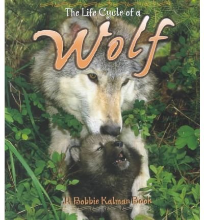 Wolf (Life Cycle of A...(Paperback)) by Amanda Bishop | Goodreads