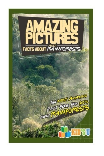 Amazing Pictures and Facts About Rainforests: The Most Amazing Fact ...