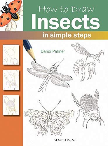 How to Draw Insects: in Simple Steps by Dandi Palmer (2013) Paperback ...