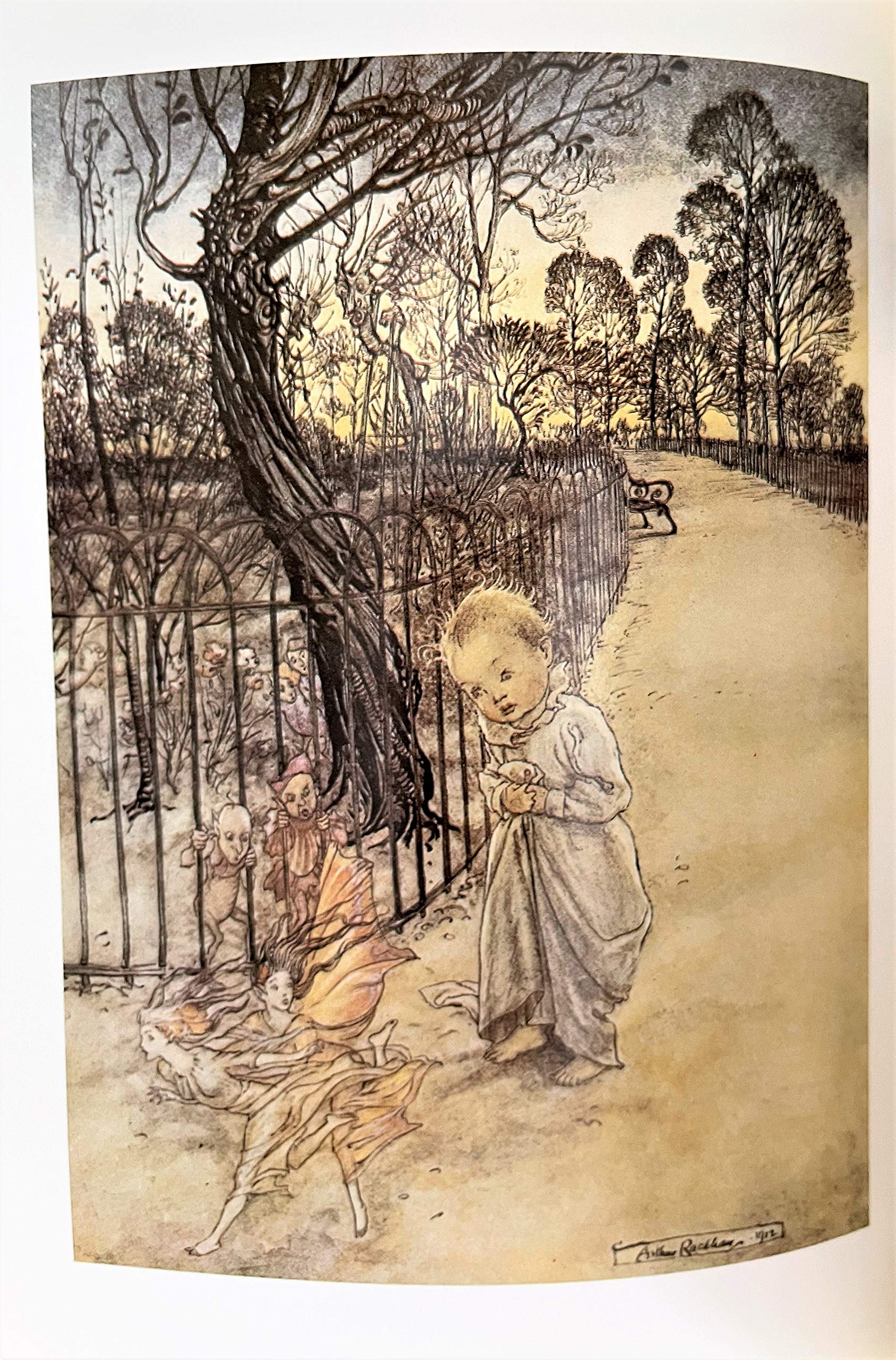 Peter Pan in Kensington Gardens. Collector's Edition in Full Leather by ...