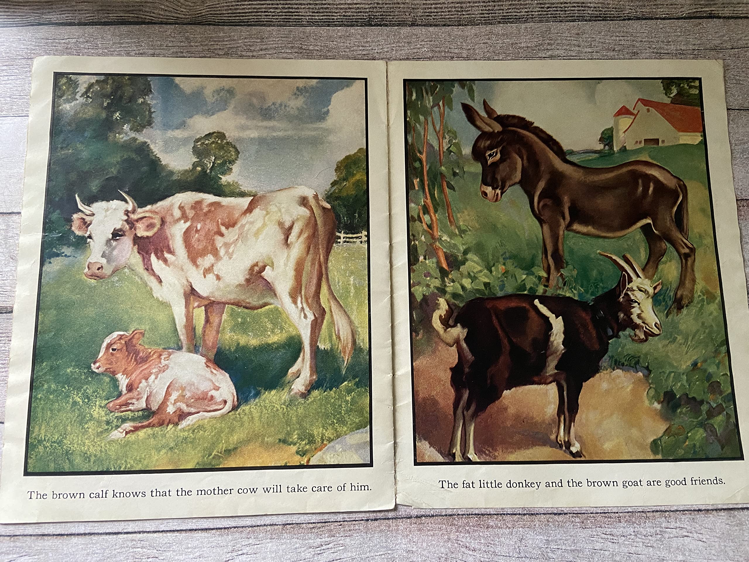 Friendly Animals by Roy Best | Goodreads