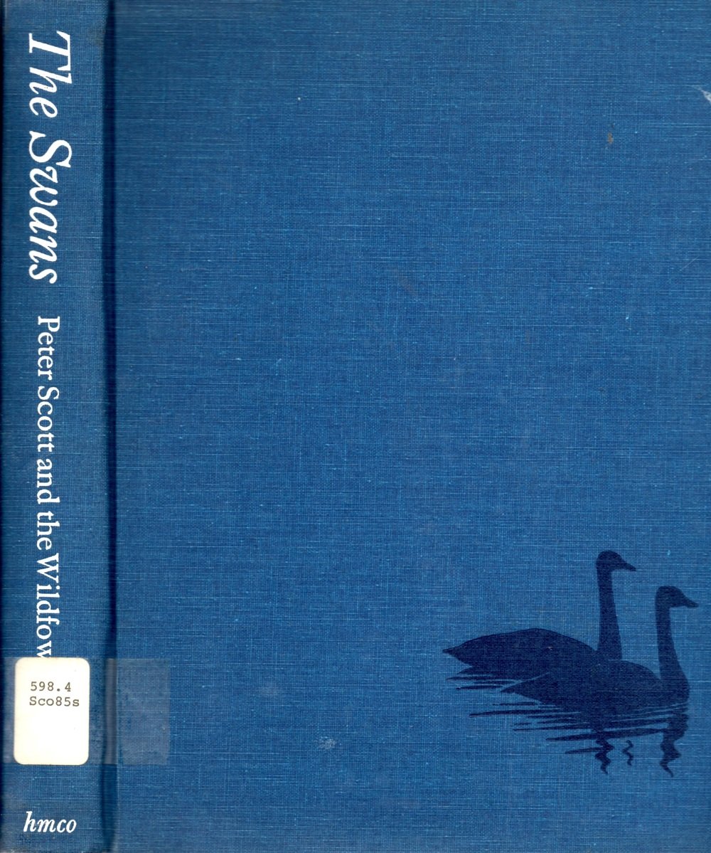 The Swans by Peter Scott | Goodreads
