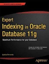 Expert Indexing in Oracle Database 11g: Maximum Performance for your Database 1st (first ...