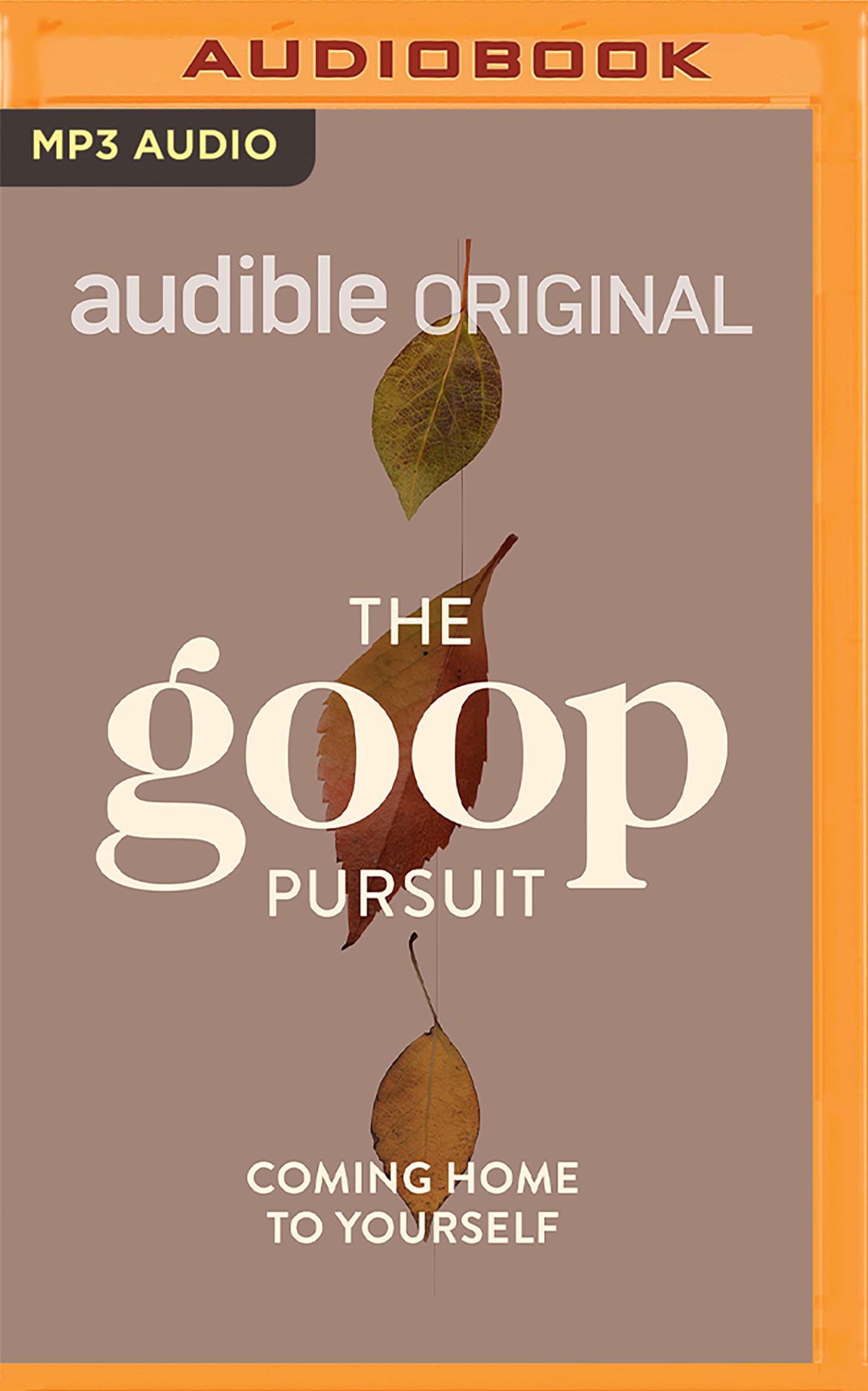 The goop Pursuit: Coming Home to Yourself by Thema Bryant-Davis | Goodreads