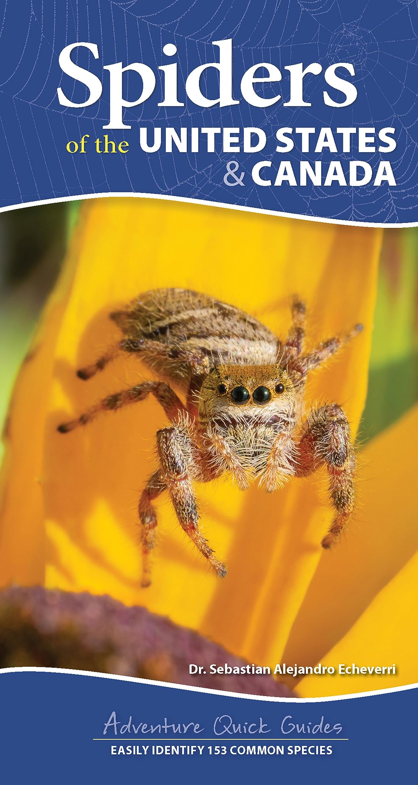 Spiders of the United States & Canada: Easily Identify 158 Common ...