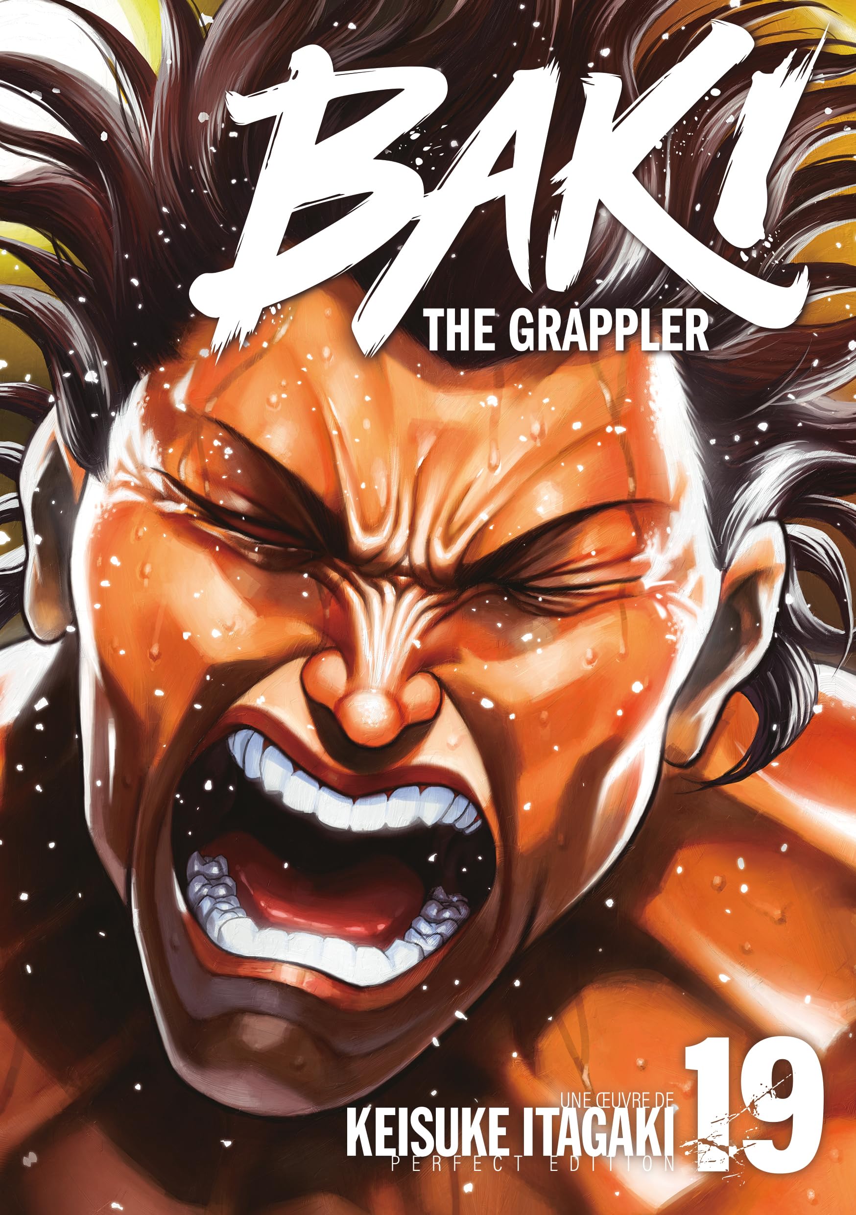 Baki the Grappler - Tome 19 - Perfect Edition by Keisuke Itagaki ...
