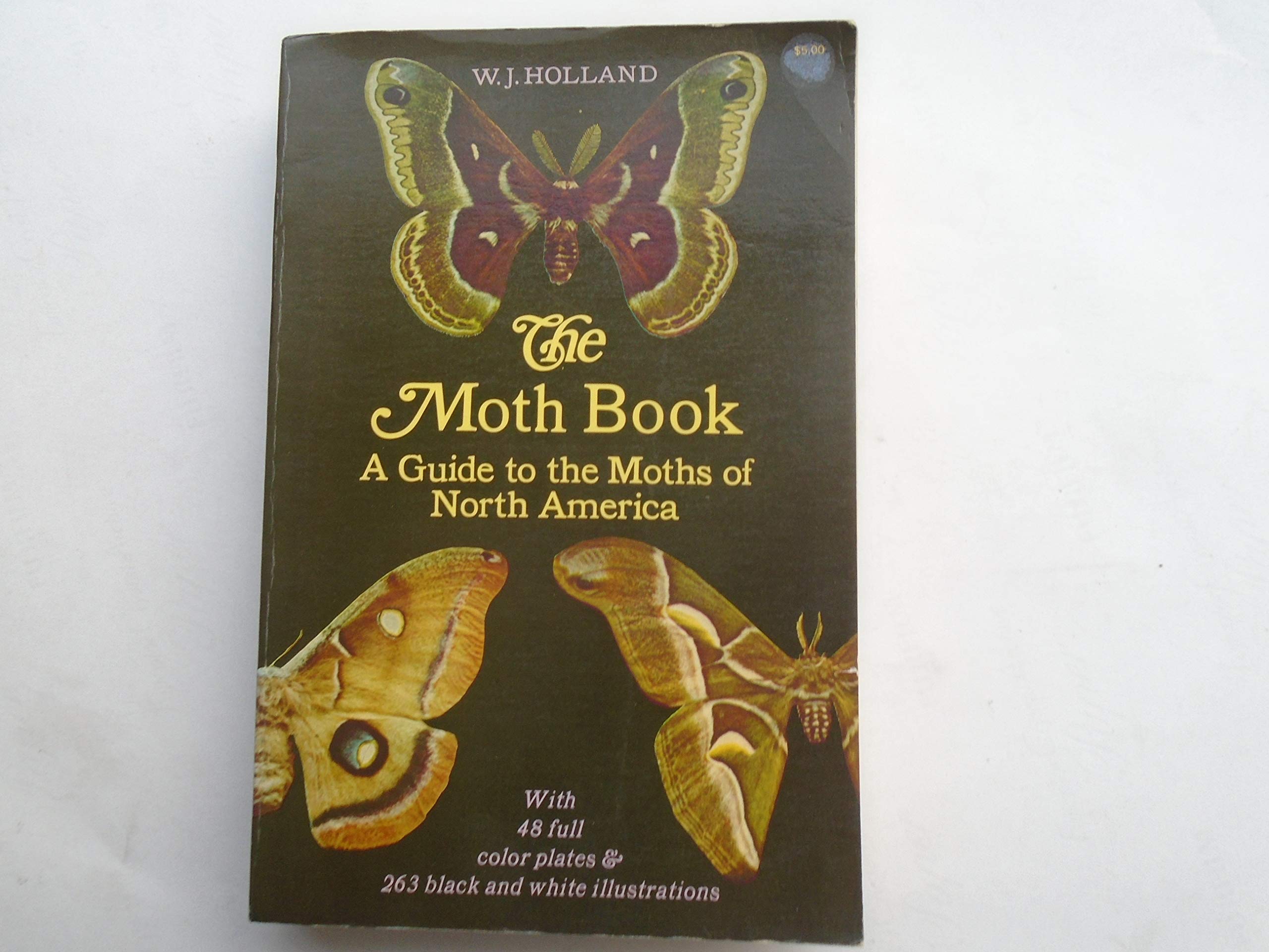 The moth book;: A popular guide to a knowledge of the moths of North ...