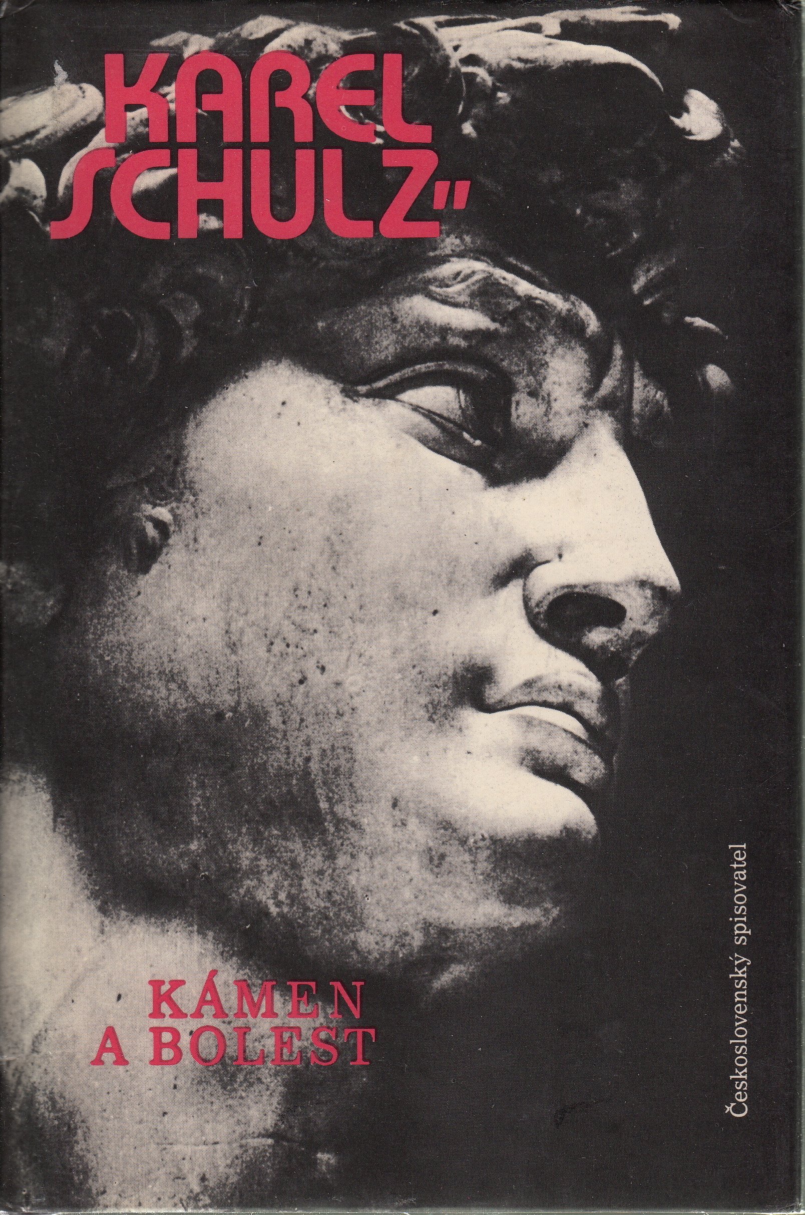 Kamen a Bolest by Karel Schulz | Goodreads