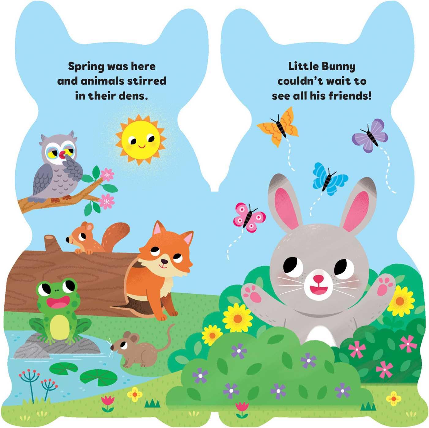 Little Bunny (Little Shaped Board Books) by Maggie Fischer | Goodreads