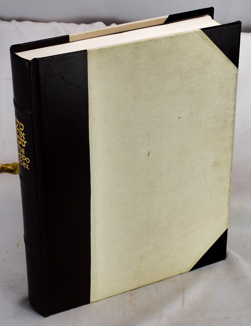 The Aleppo Codex: Provided With Massoretic Notes and Pointed by Aaron ...