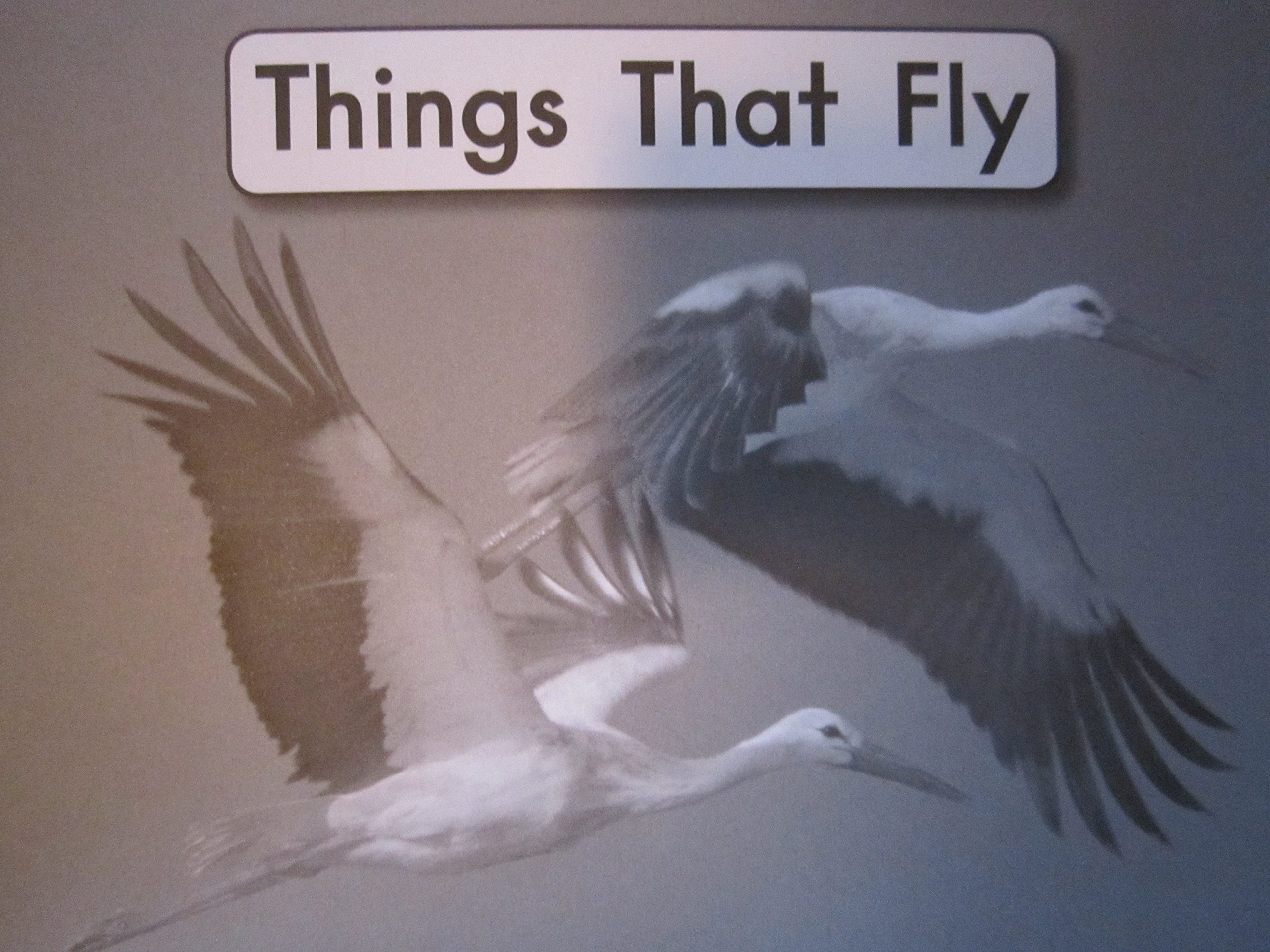 Things That Fly by April Maguire | Goodreads