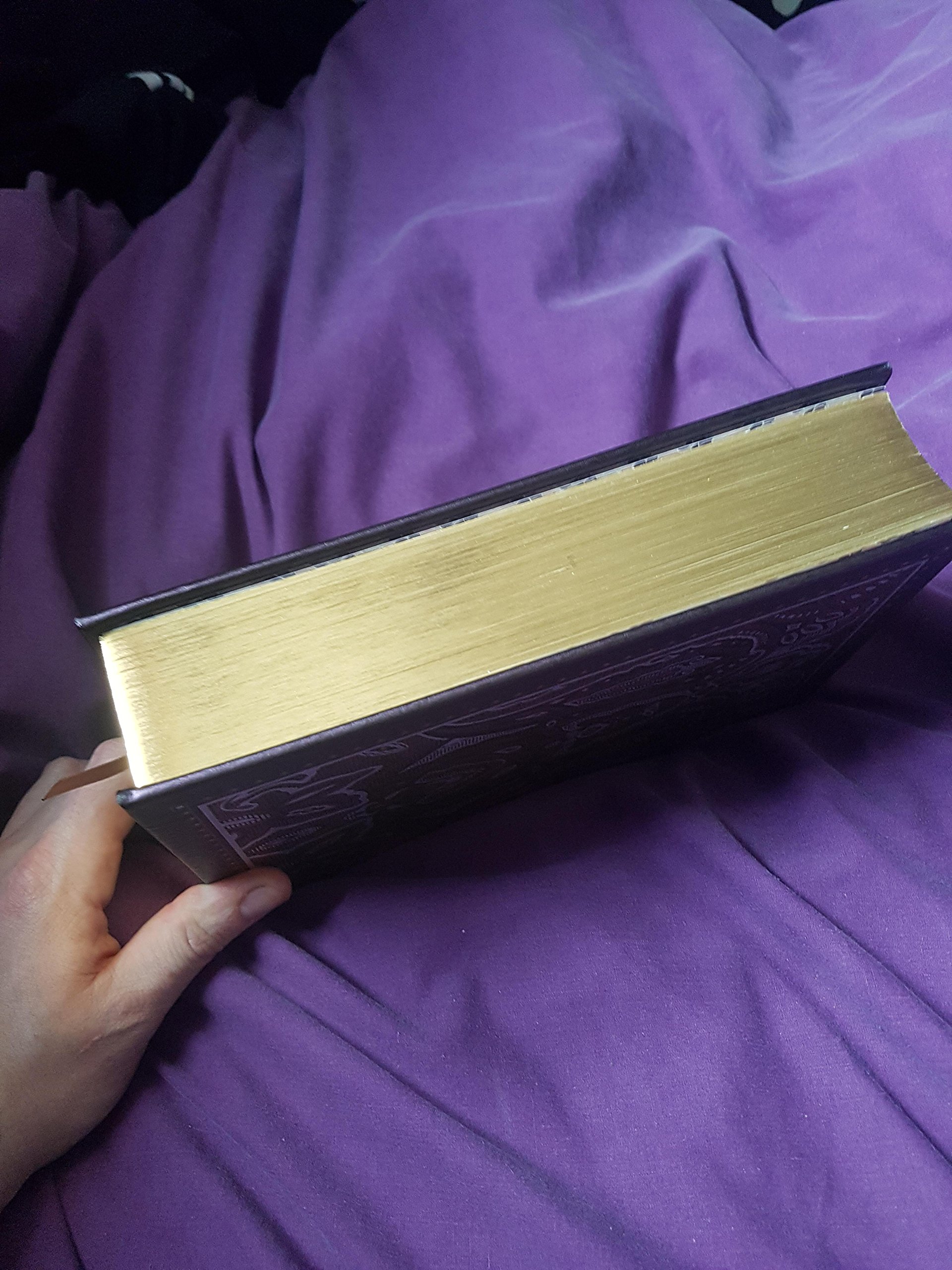 Picture of Dorian Gray and Other Works, The (Leatherbound Classics) (Leatherbound Classic ...