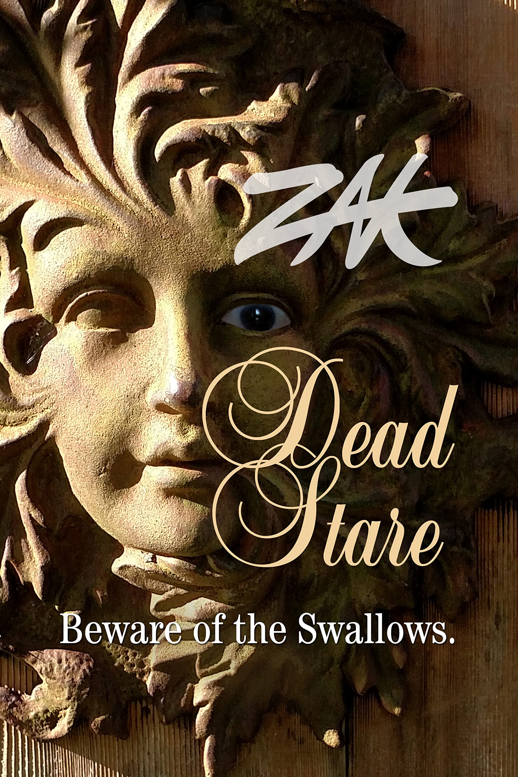 Dead Stare by Jerry Zak | Goodreads