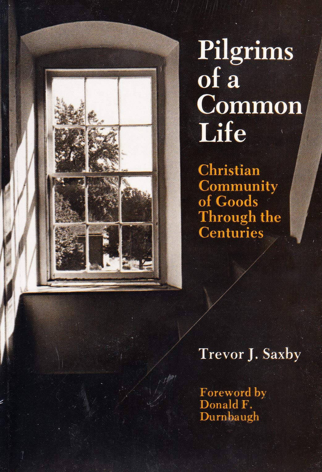 Pilgrims of a Common Life: Christian Community of Goods Through the ...