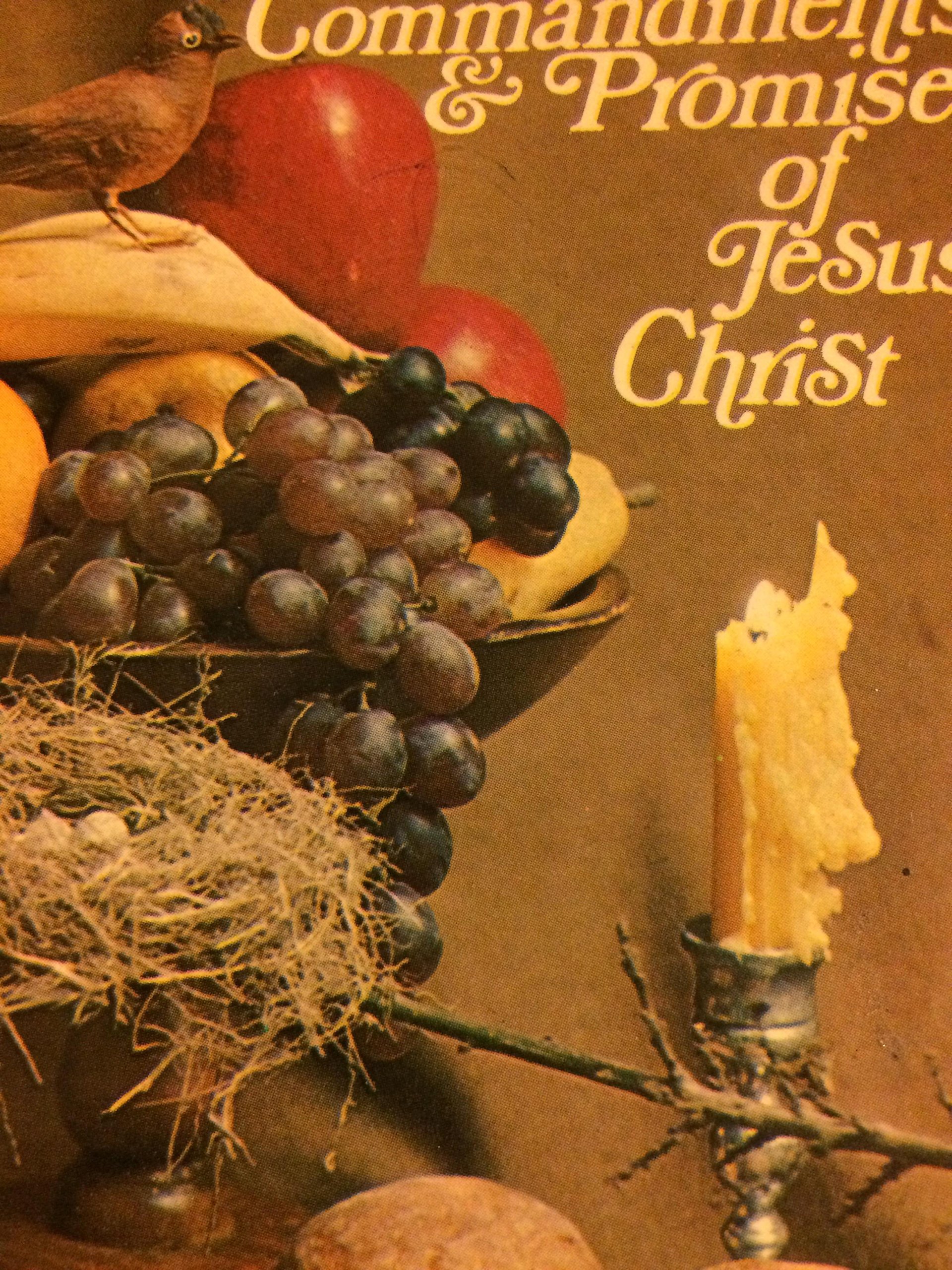 Commandments & promises of Jesus Christ by David Wilkerson | Goodreads