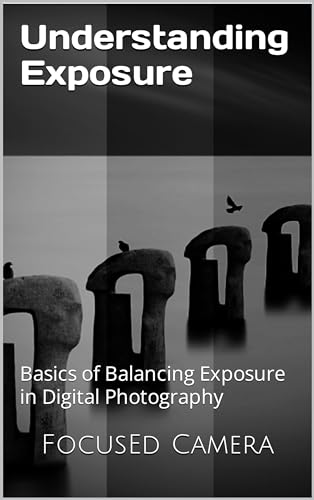 Understanding Exposure: Basics of Balancing Exposure in Digital ...